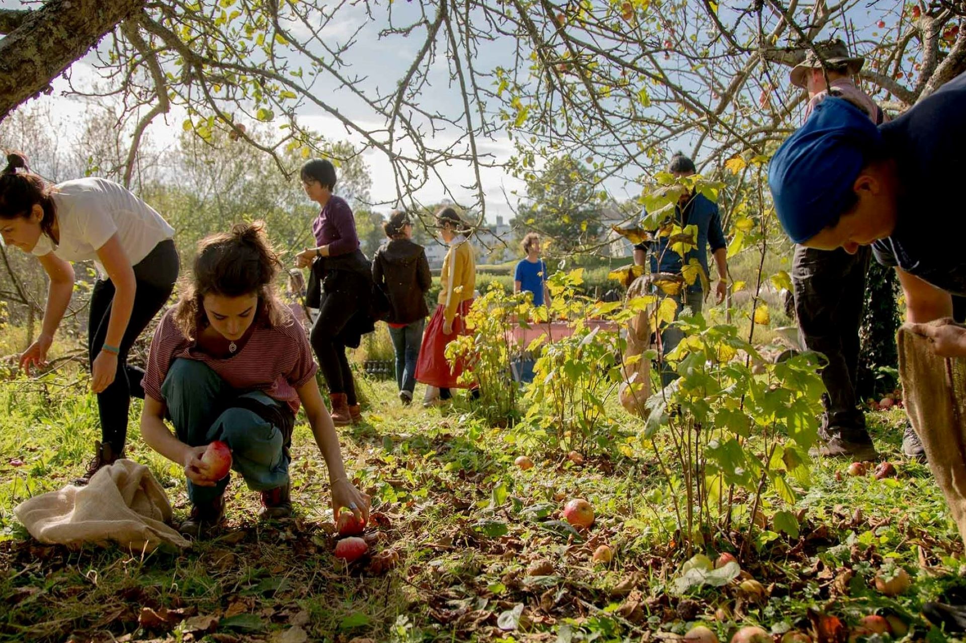 Schumacher College - VLE